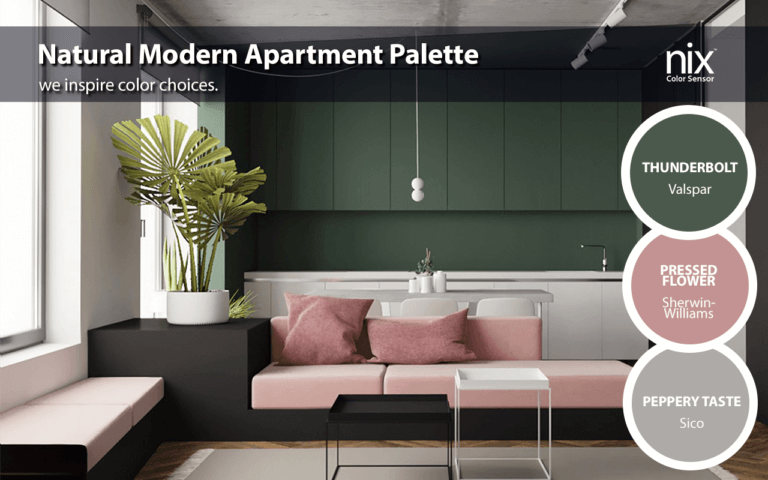 Natural Modern Apartment Palette – Nix Sensor Ltd